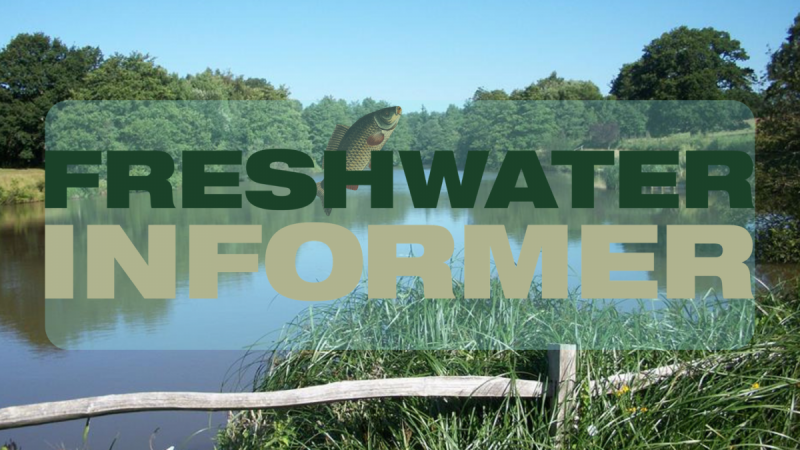 Freshwater Informer | Leading Angling Magazine For The South East